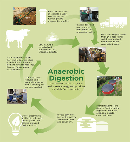 Anaerobic Digestion vs. Composting at the Commercial Scale - Agri-Cycle Anaerobic Digestion vs. Composting at the Commercial Scale - Agri-Cycle
