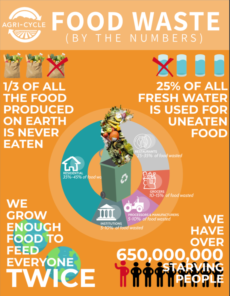 The True Cost of Food Waste: Impacting Our Economy, Environment, and ...